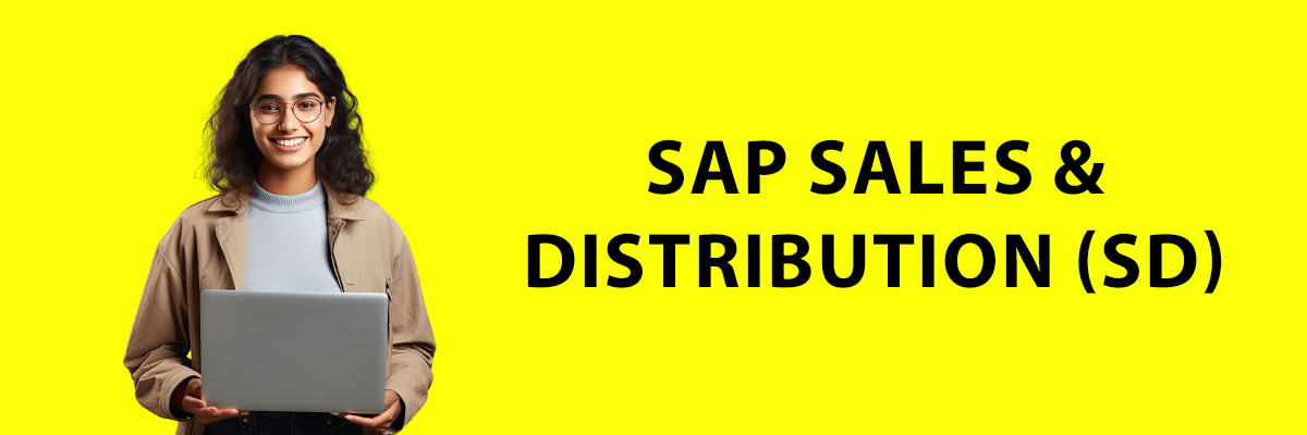 Sap Sales And Distribution Sd Sapsupportpro